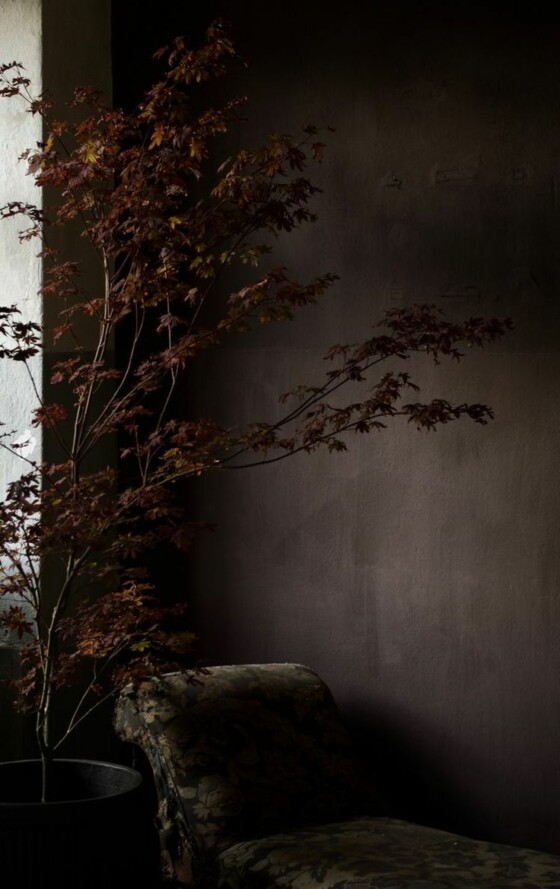 The November Edit: Moody, mysterious vibes - Interior Design Studio in ...